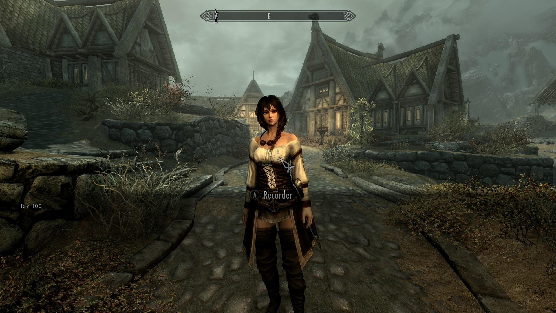 【Skyrim,Skyrim SE】PC版 快適なプレイのための最低限の設定【FOV】 | bovod bovod