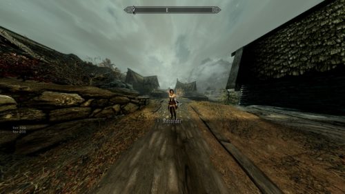 【Skyrim,Skyrim SE】PC版 快適なプレイのための最低限の設定【FOV】 | bovod bovod